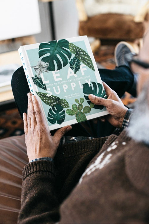 ECOVIBE - Decor. Plants. Gifts #ecovibestyle