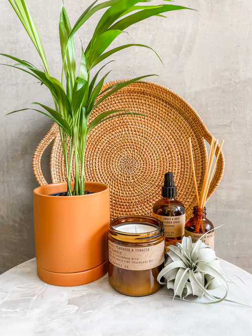 ECOVIBE - Decor. Plants. Gifts #ecovibestyle