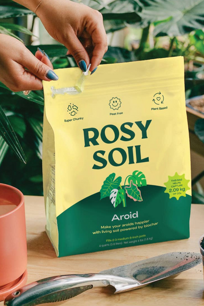 Rosy Soil Aroid Mix – ECOVIBE